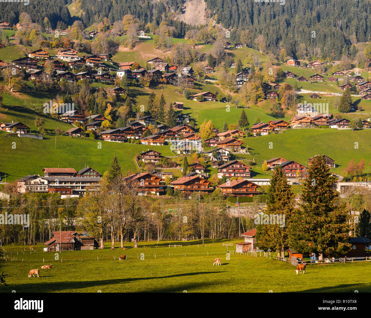 Mountain village in Grindelwald, Switzerland. Grindelwald was one of ...
