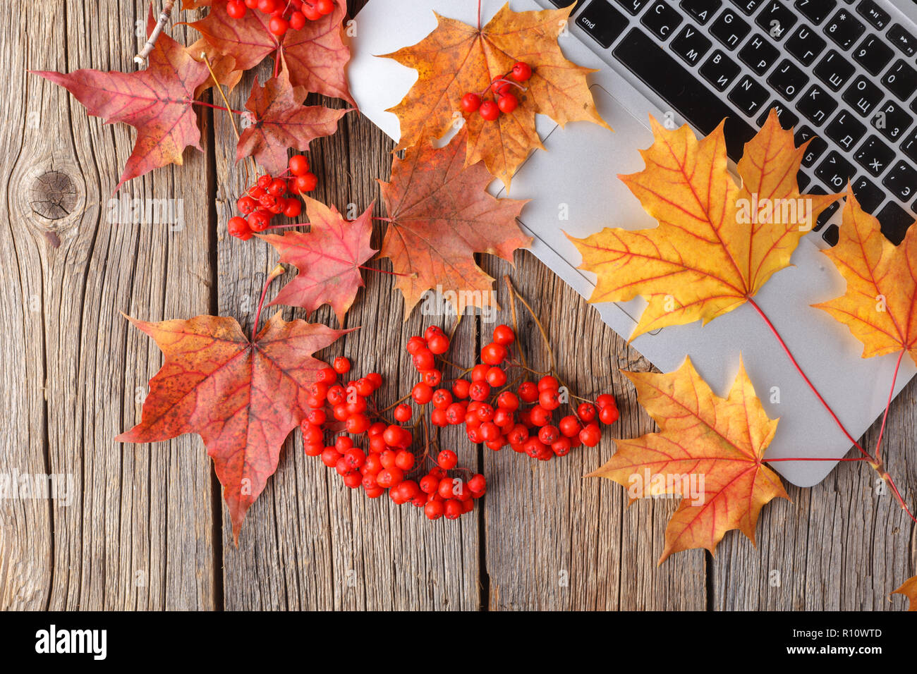 autumn fall flat lay, top view home office table desktop Stock Photo ...