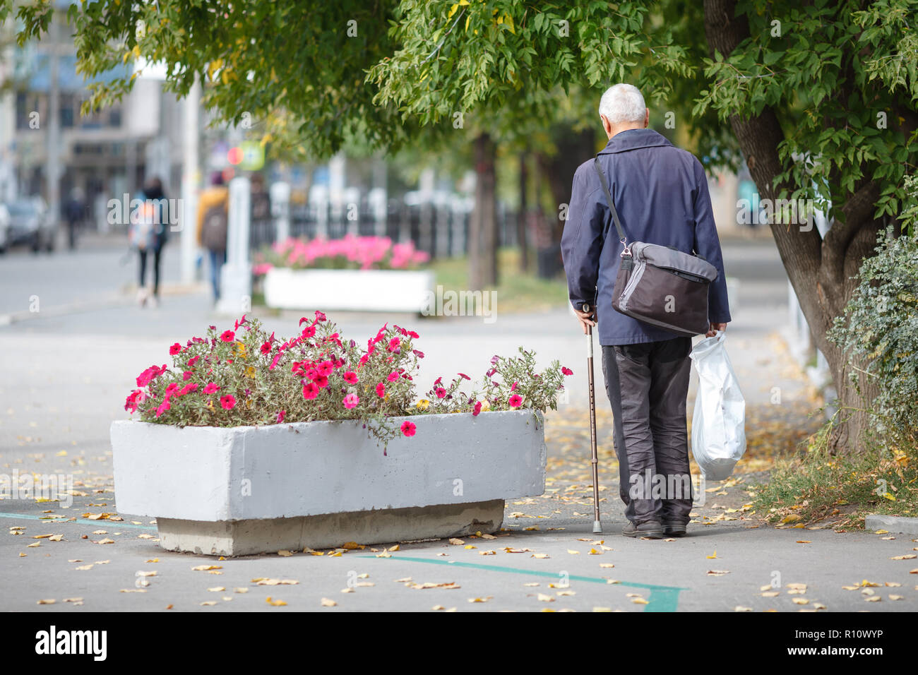 Old chinese man walking stick hi-res stock photography and images - Alamy