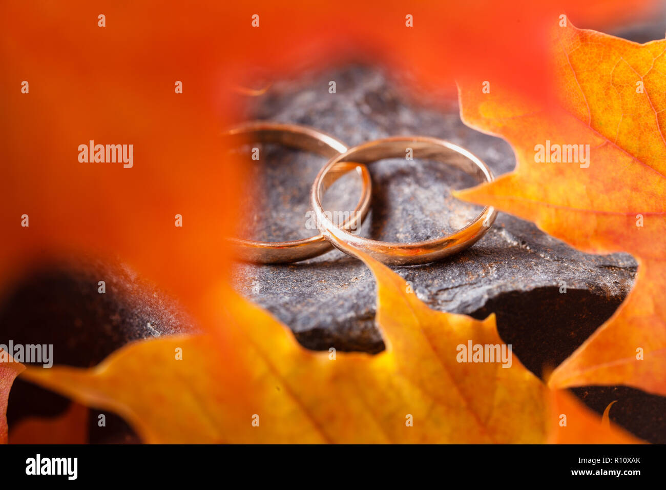 Wedding rings with golden autumn leaves and stone Stock Photo - Alamy