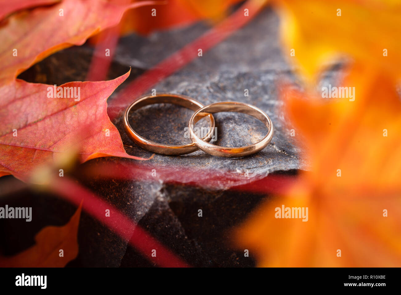 Wedding rings with golden autumn leaves and stone Stock Photo - Alamy