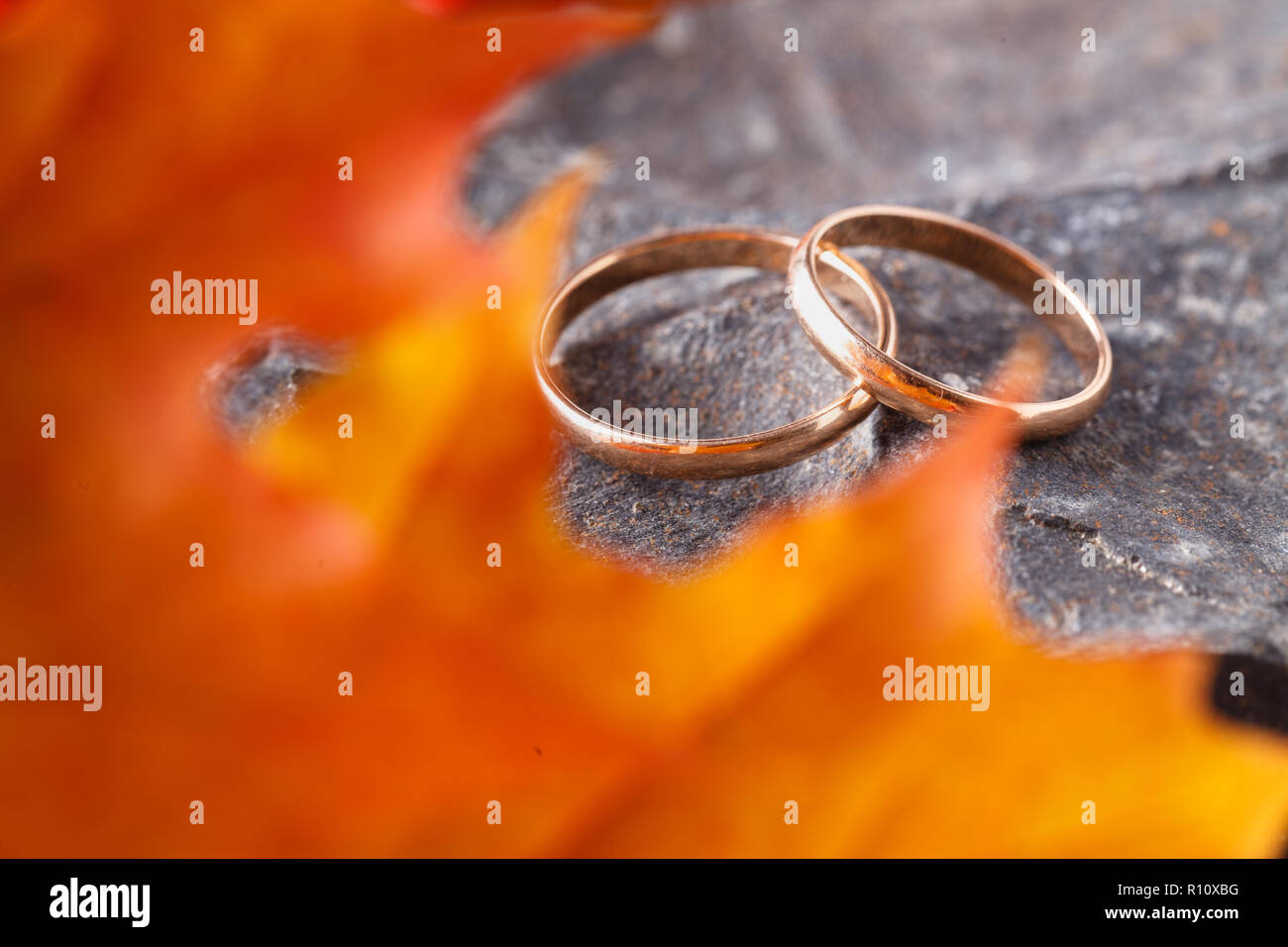 Wedding rings with golden autumn leaves and stone Stock Photo - Alamy