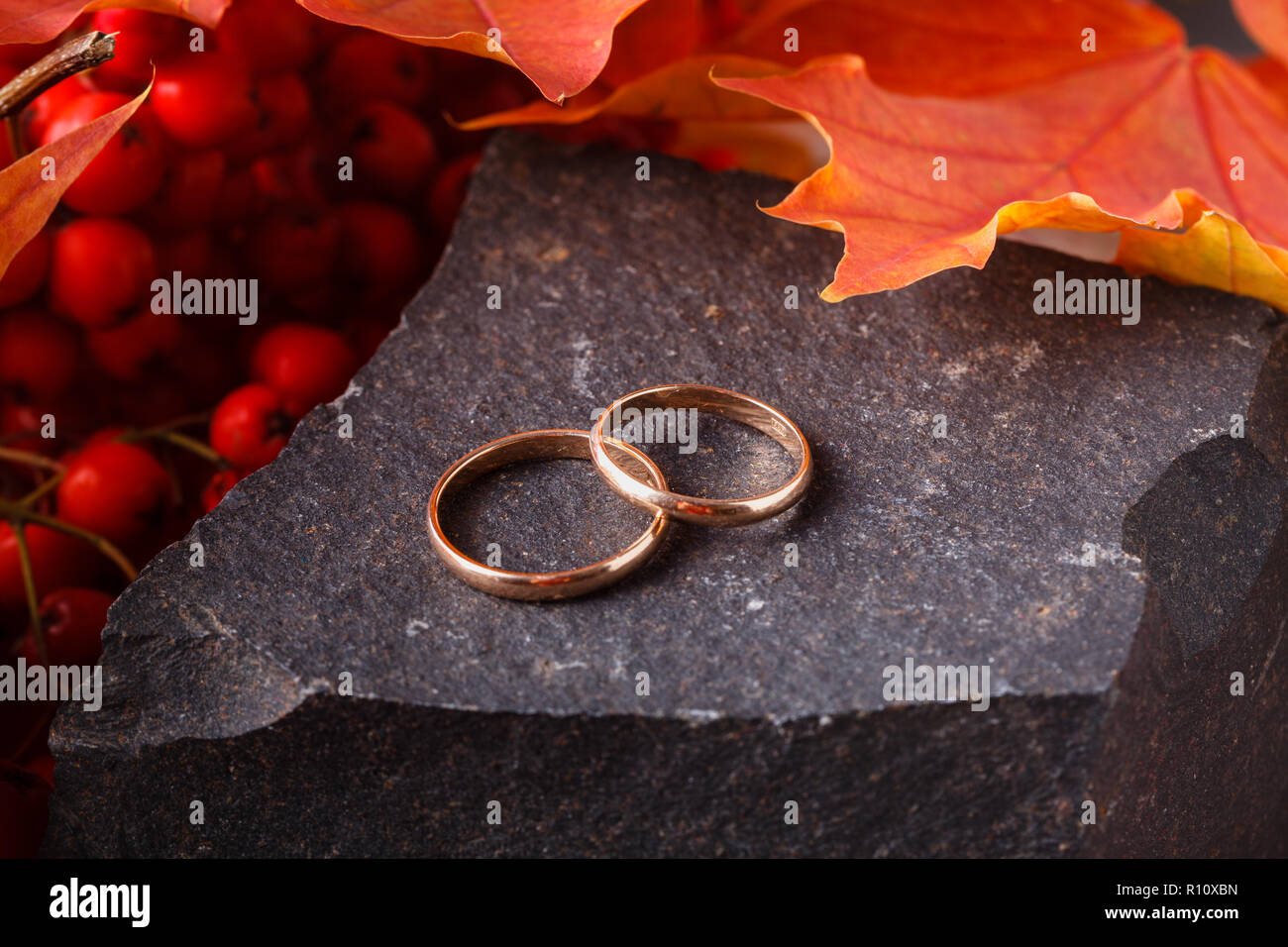 wedding rings on autumn background Stock Photo - Alamy