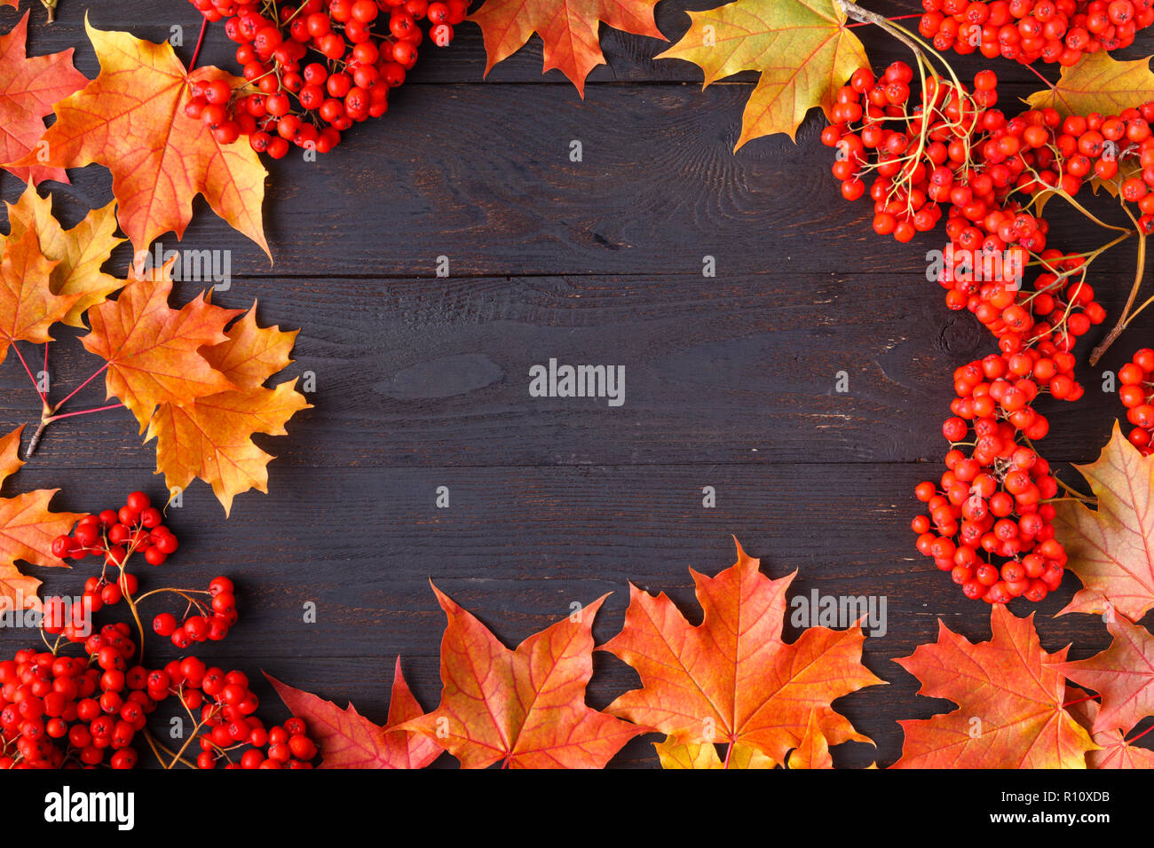 bright autumn leaves and text; generic fall background, perfect for ...