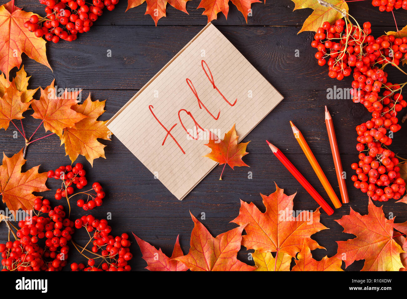 Tag with the Words fall and a Colorful Autumn Leaf in the Background ...