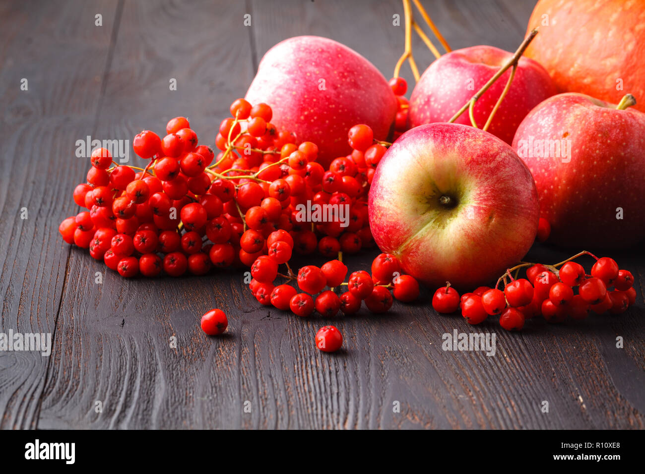 Fall Pumpkins, apple and berries Stock Photo - Alamy