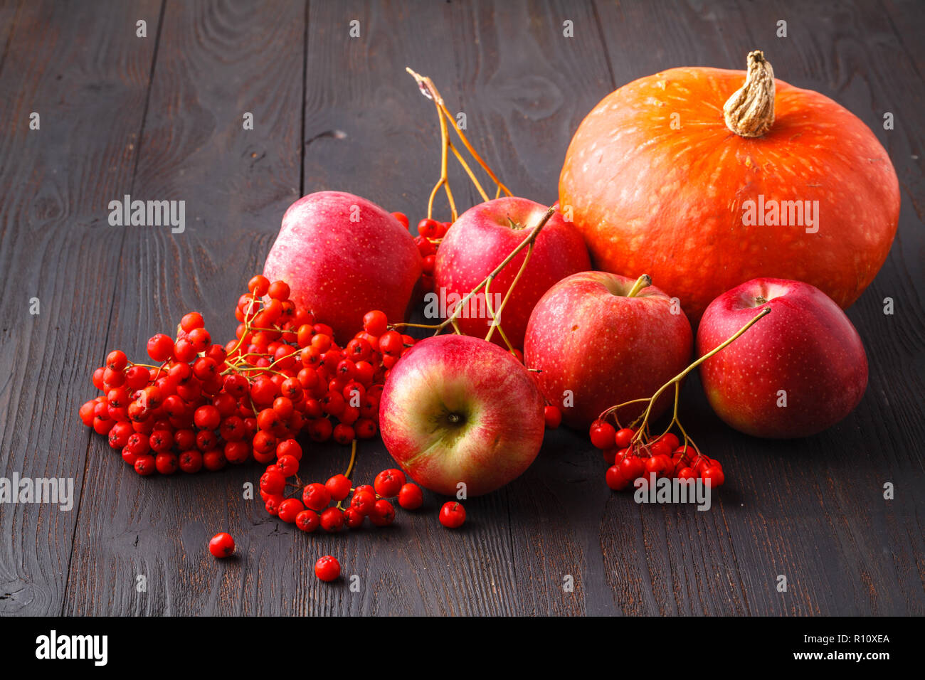 Fall Pumpkins, apple and berries Stock Photo - Alamy