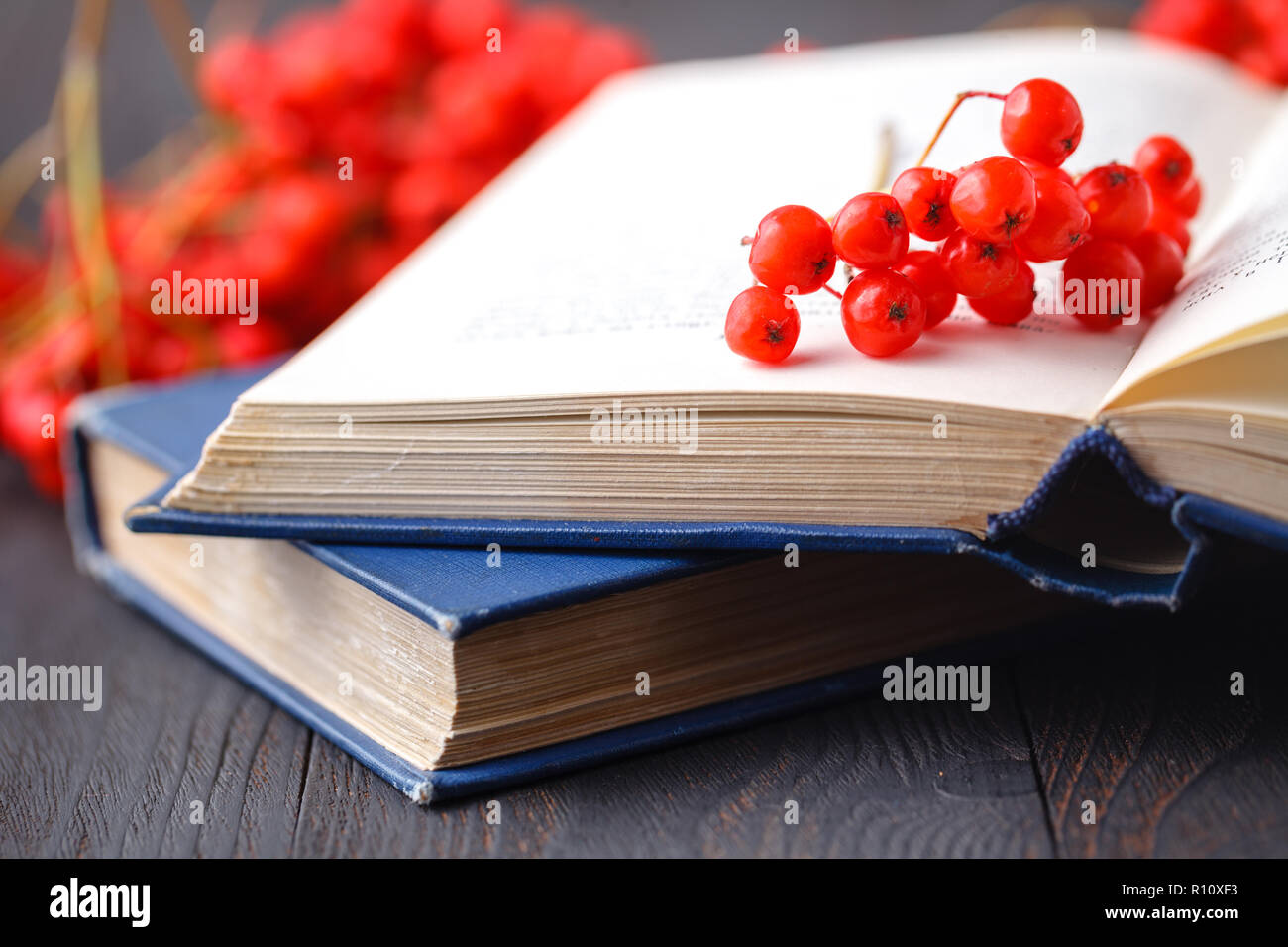 Seasonal berries on books as simbol of begin of new educationaal season ...