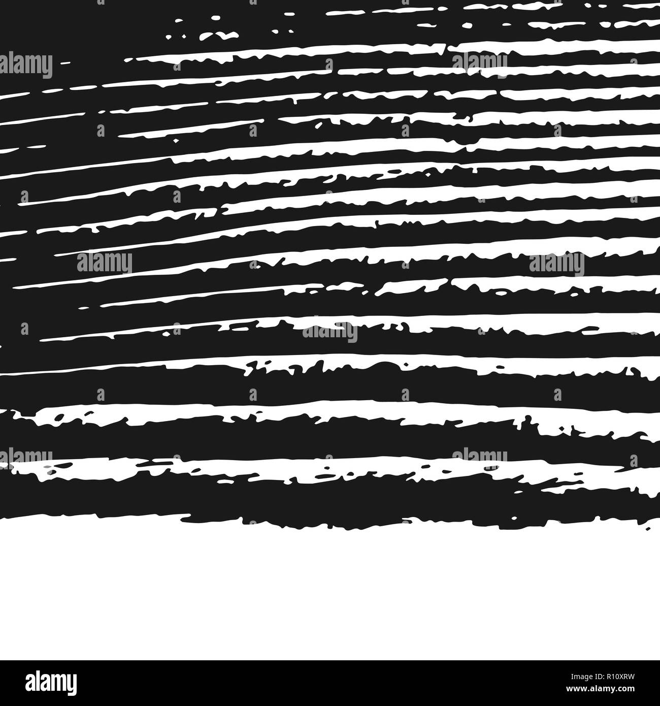 Black and white zebra texture background. Abstract ripped strips ...