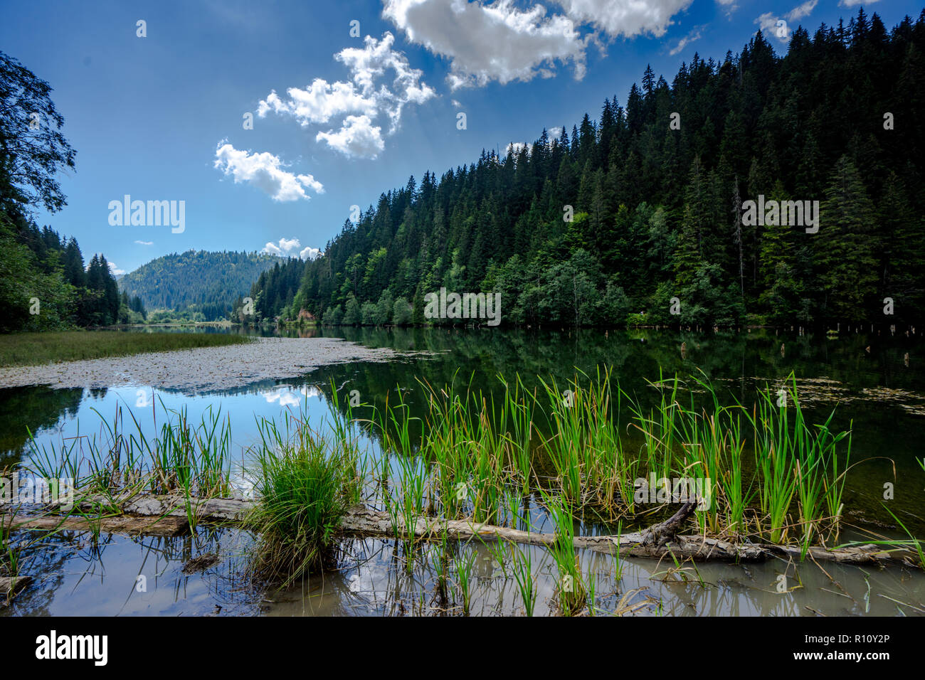 Red lake romania hi-res stock photography and images - Alamy