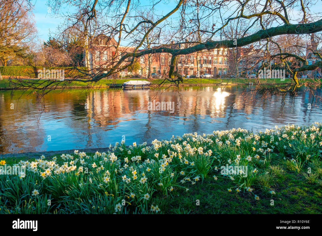 Delft spring house hi-res stock photography and images - Alamy