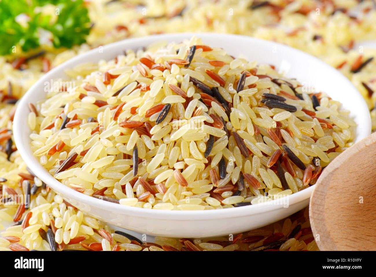 Variety of rice in a porcelain plate Stock Photo - Alamy