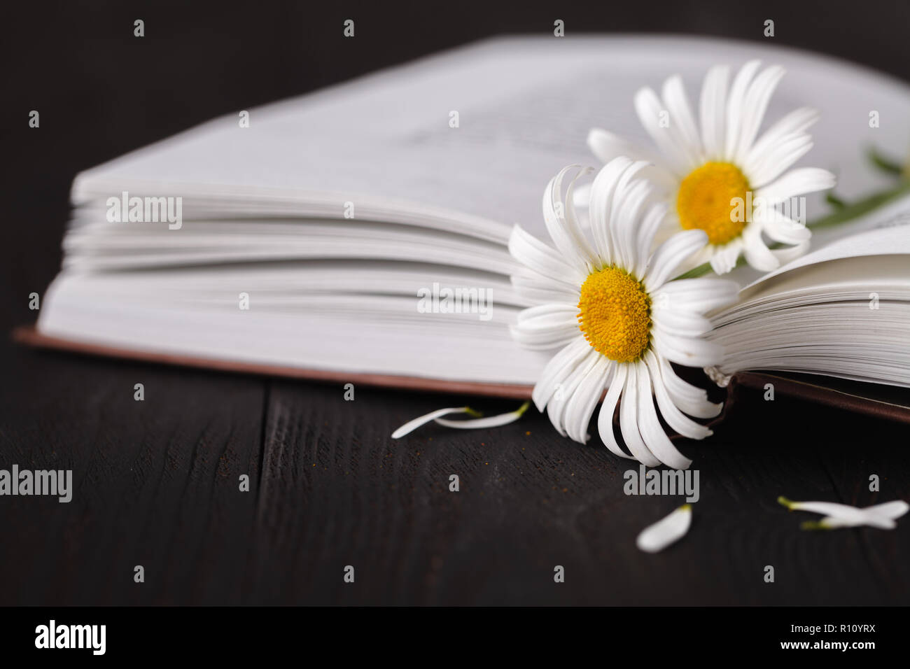 books with bouquet of flowers Stock Photo - Alamy