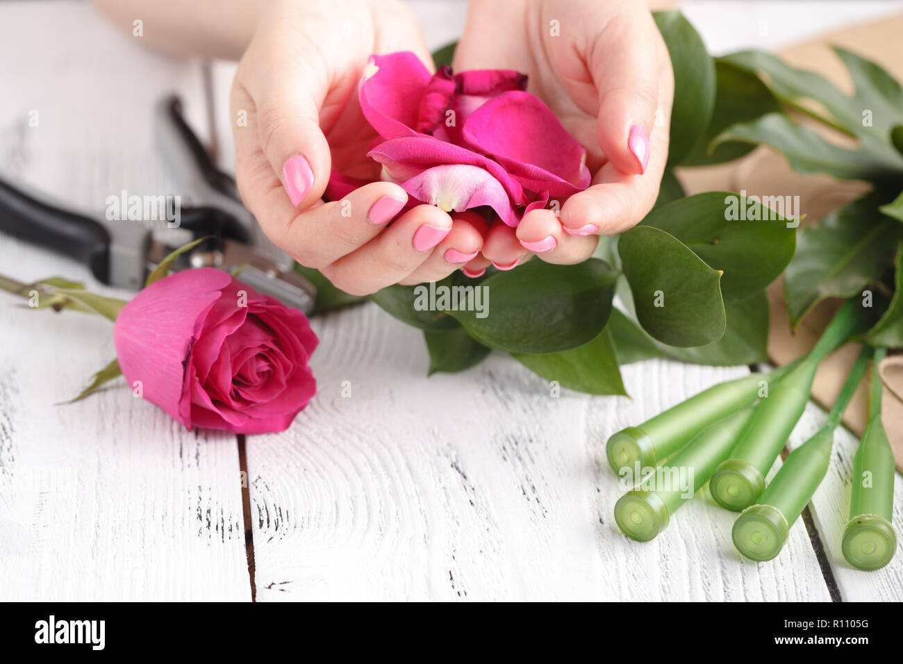 Hand of a florist woman full of rose petals for wedding Stock Photo - Alamy