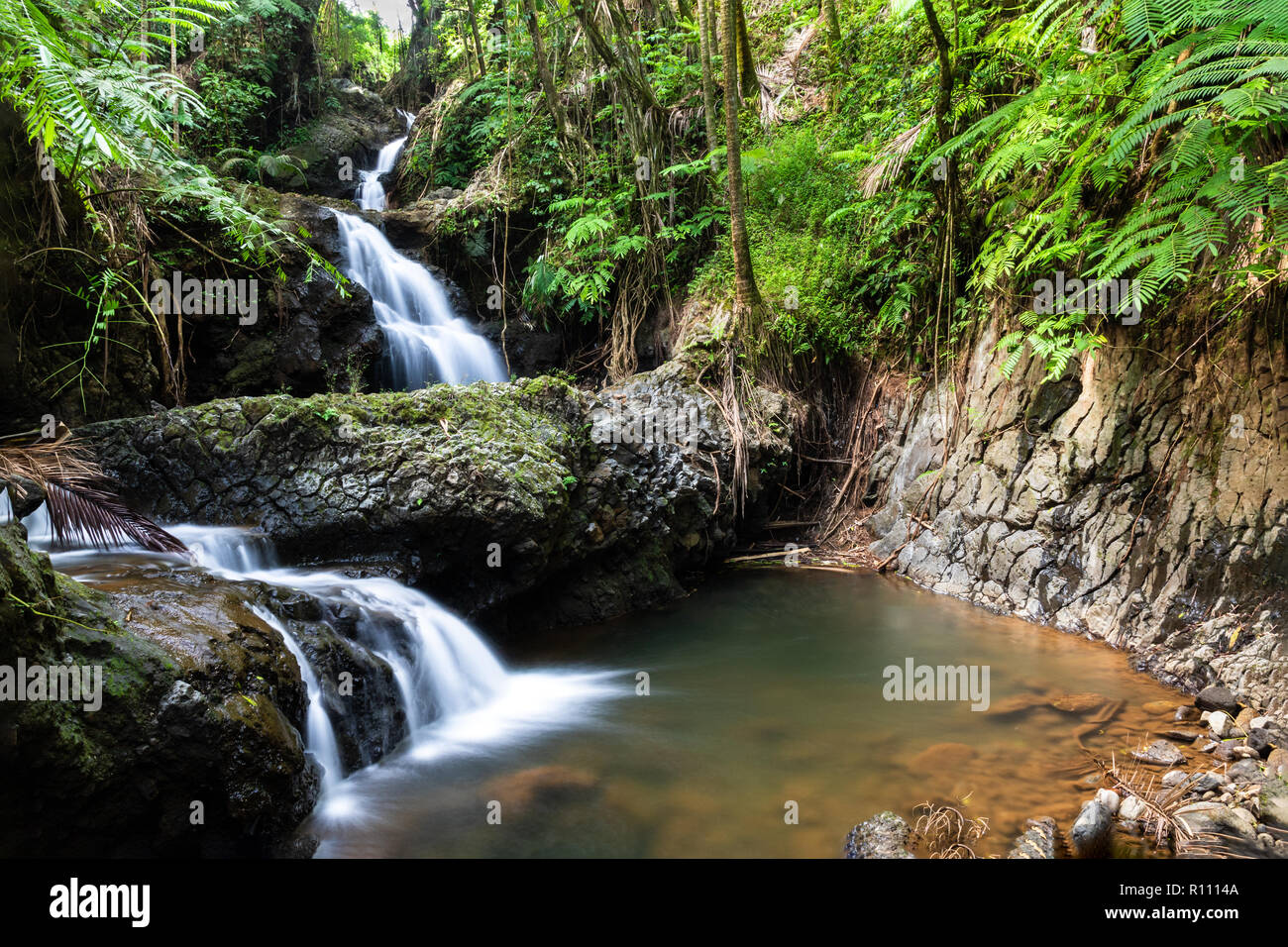 Onomea waterfall cascading through Hawaiian Tropical Botanical Garden ...