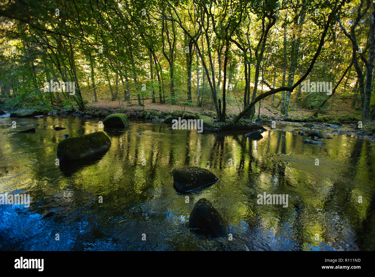 Rivers on dartmoor hi-res stock photography and images - Alamy