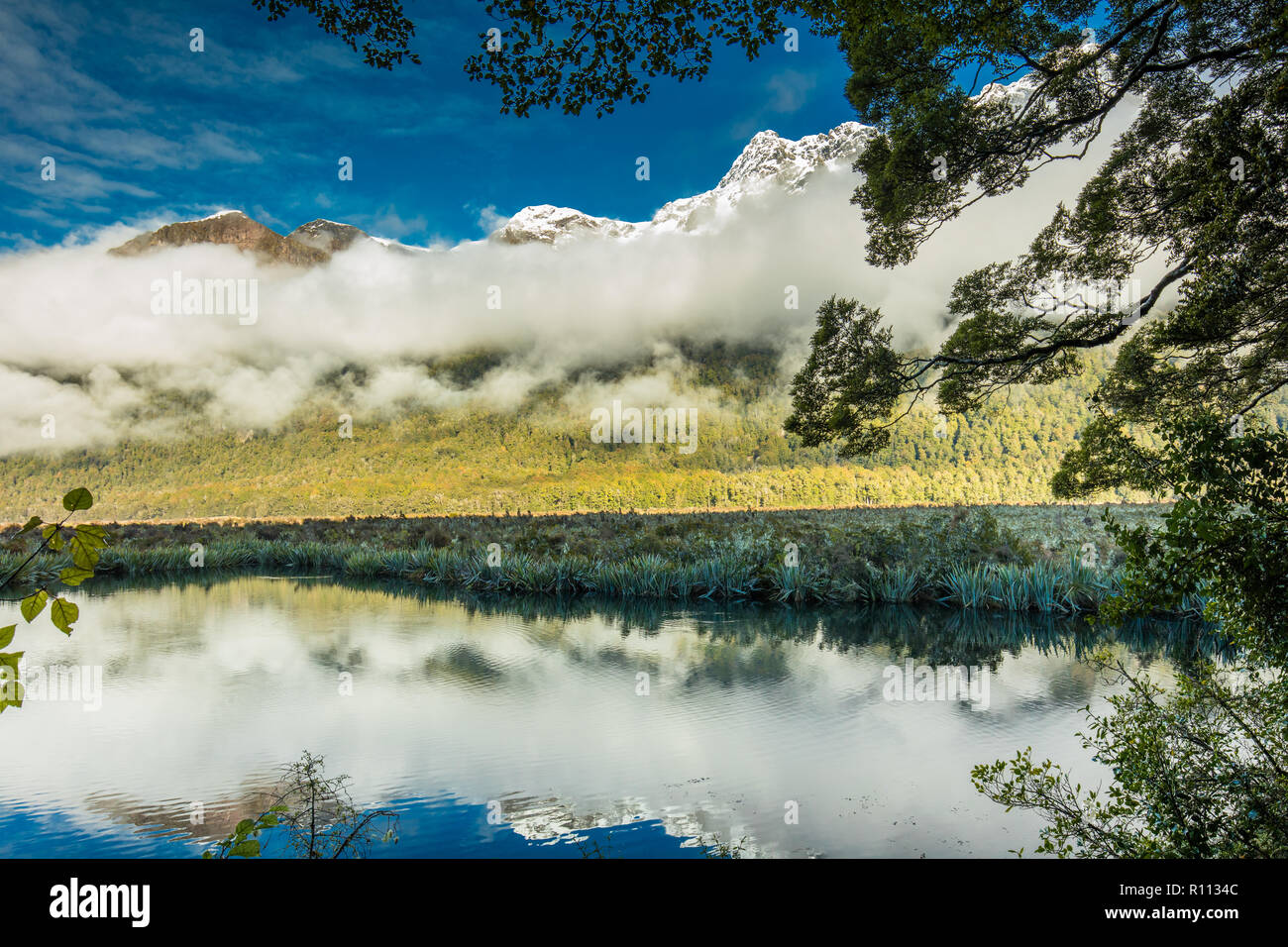 Millford road hi-res stock photography and images - Alamy