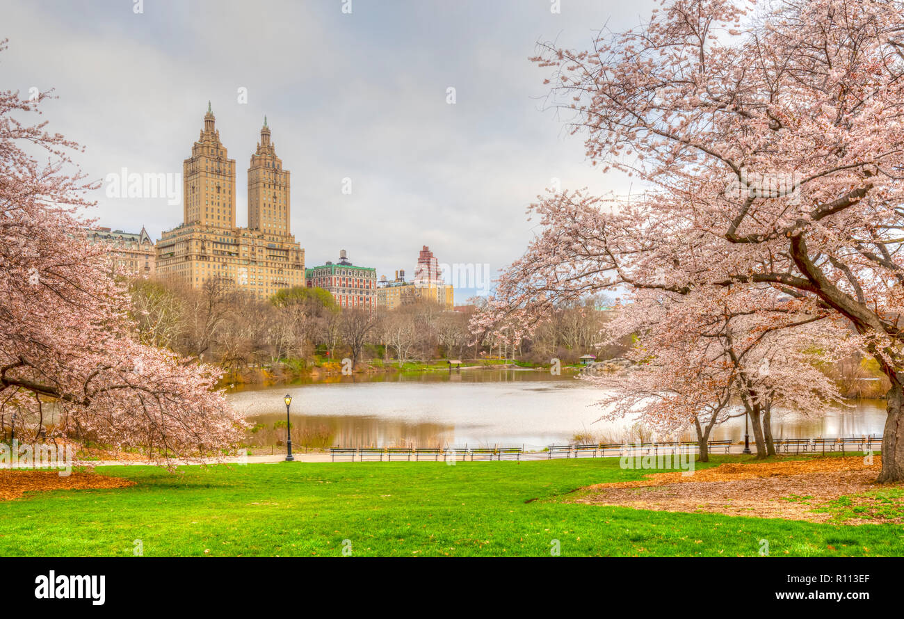 Central Park, Manhattan, New York City in spring Stock Photo - Alamy