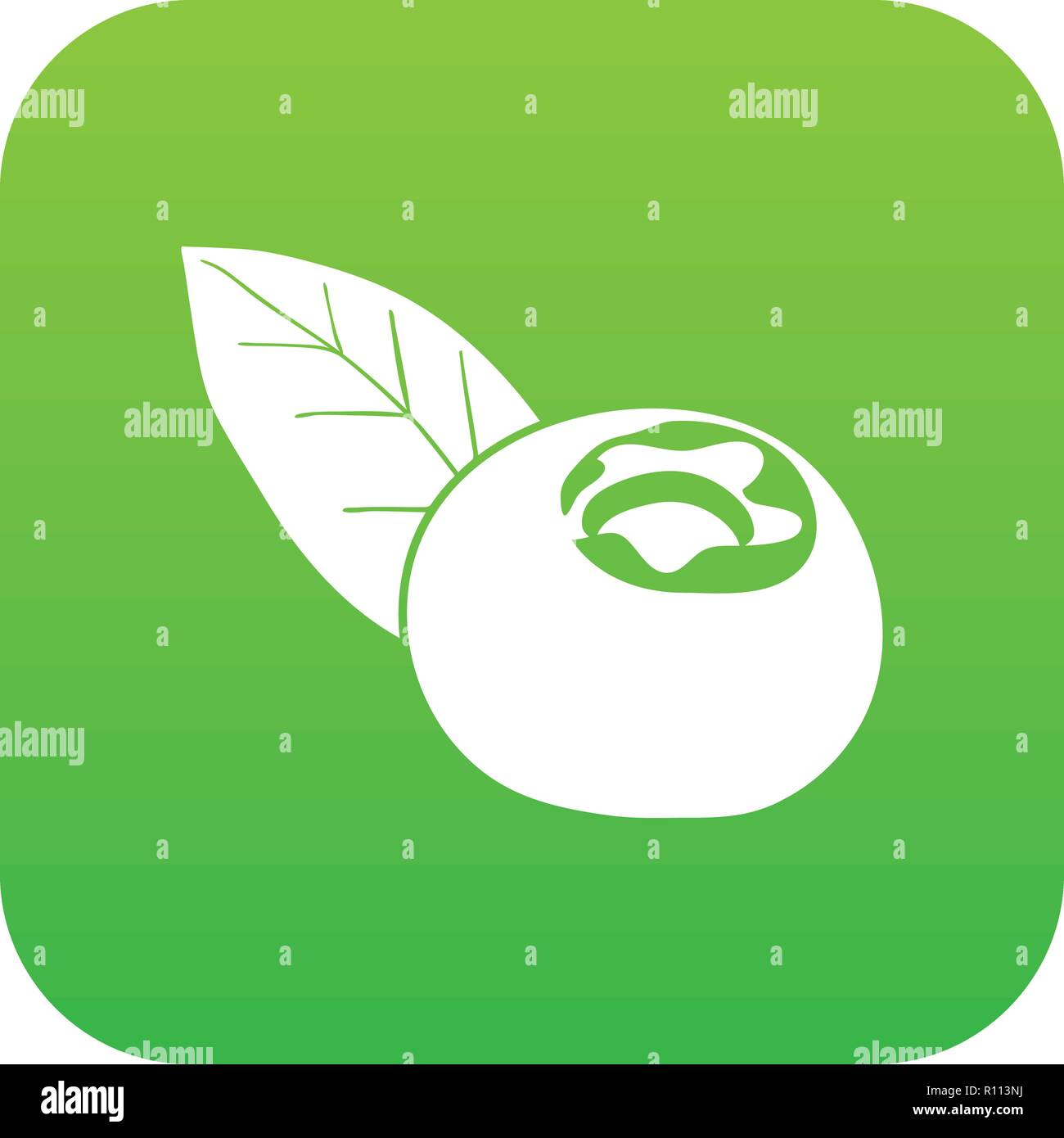 Cranberry icon green vector Stock Vector Image & Art - Alamy