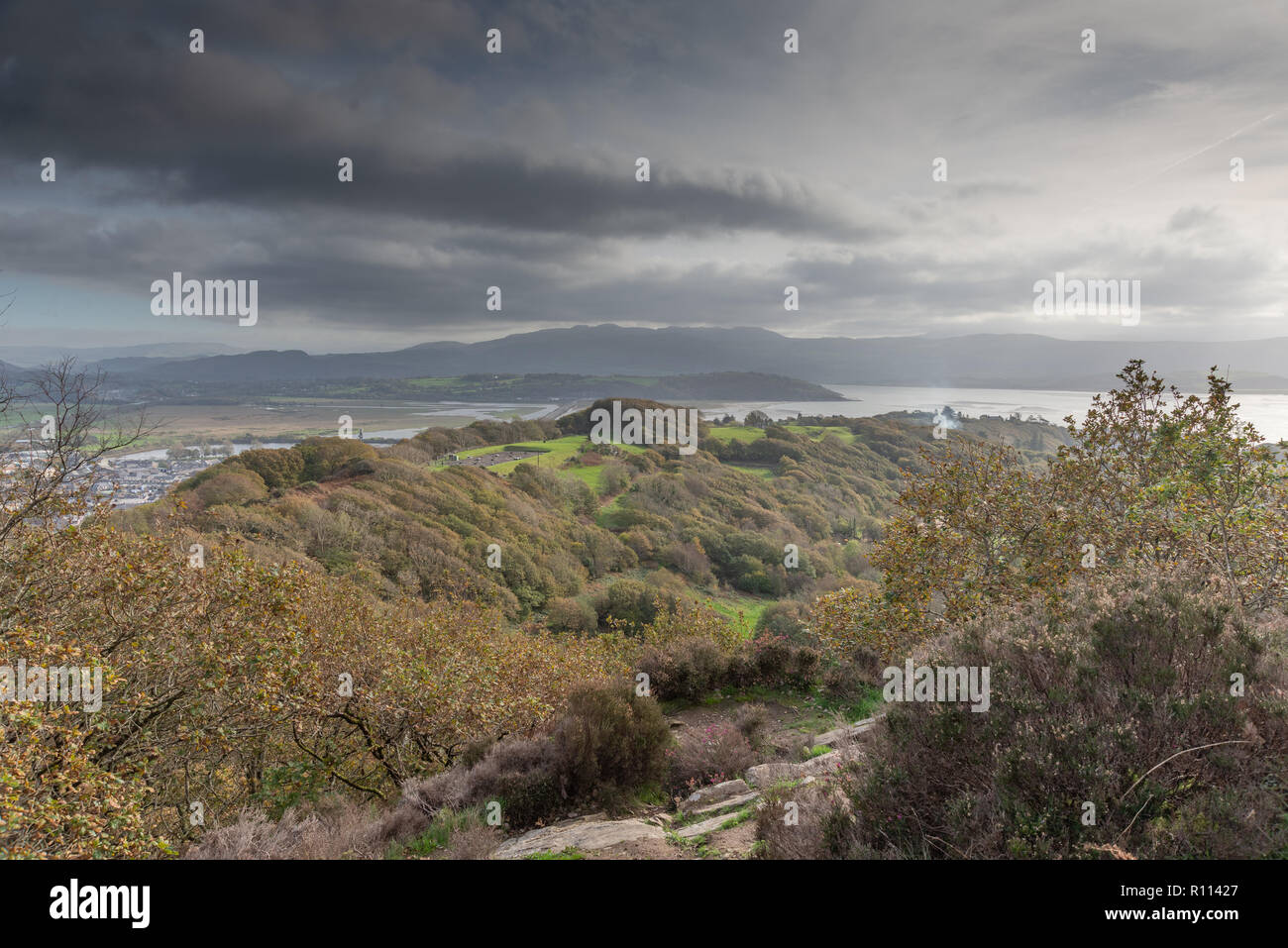 Wild Path in Wales 2 Stock Photo - Alamy