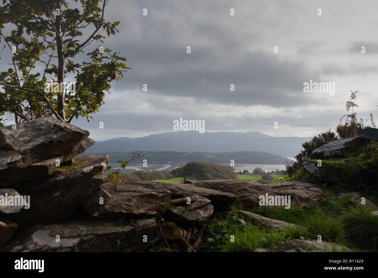 Wild Path in Wales 3 Stock Photo - Alamy