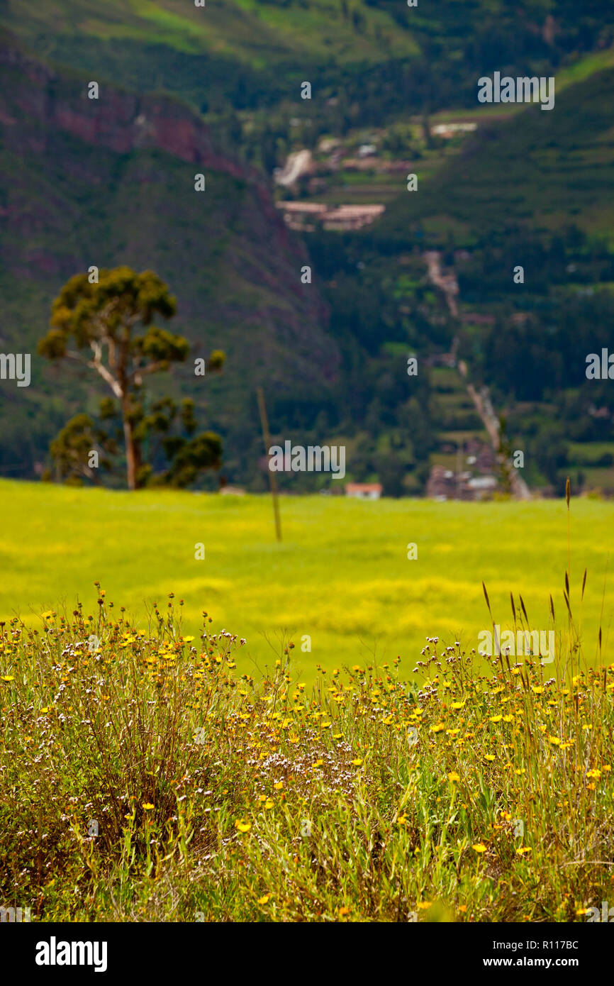 Peru landscapes in Andes Stock Photo - Alamy