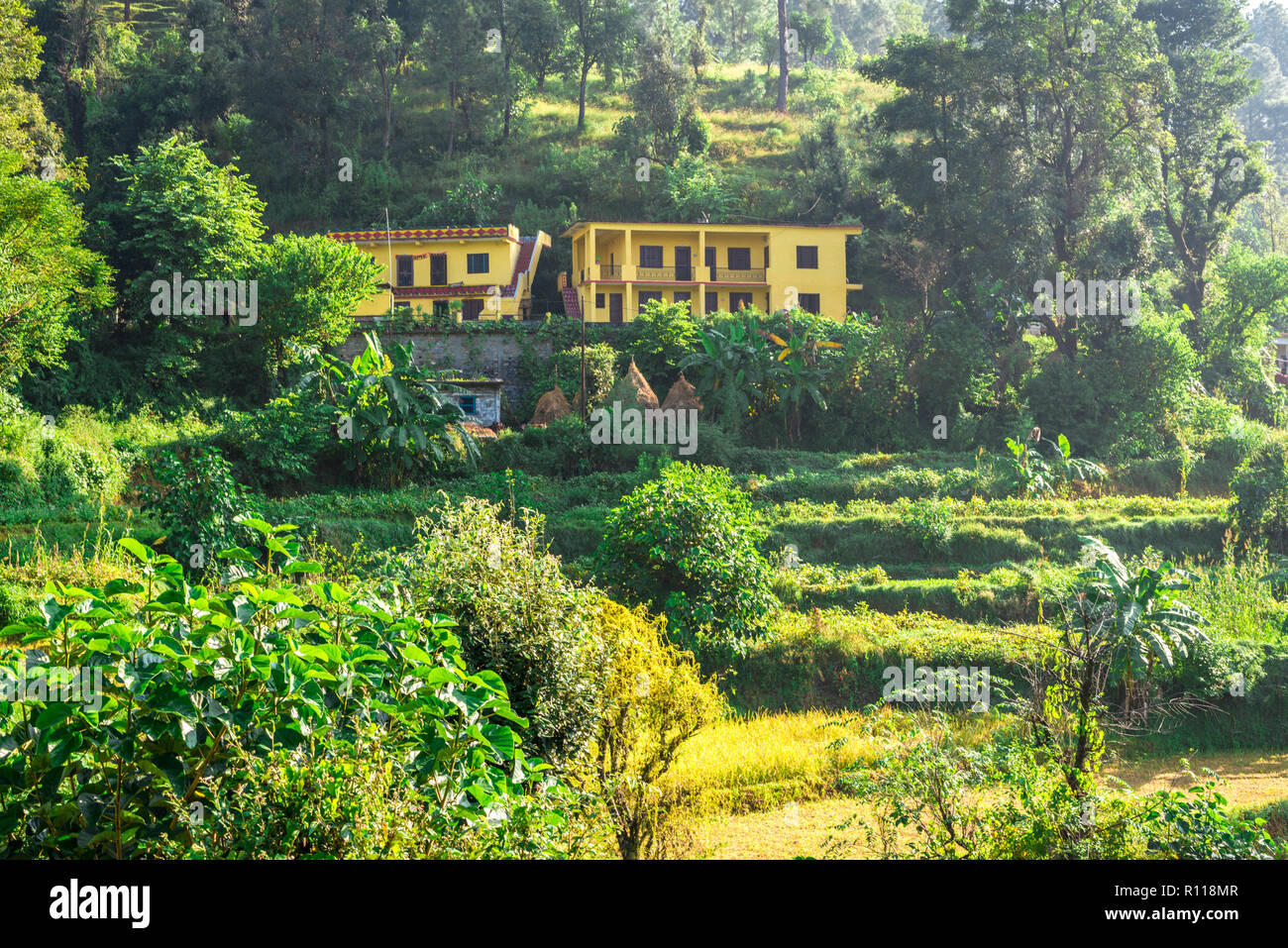 Step Farming in Uttrakhand Stock Photo - Alamy