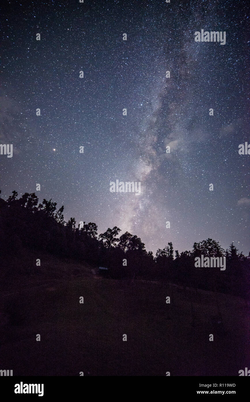 Kedarnath way hi-res stock photography and images - Alamy