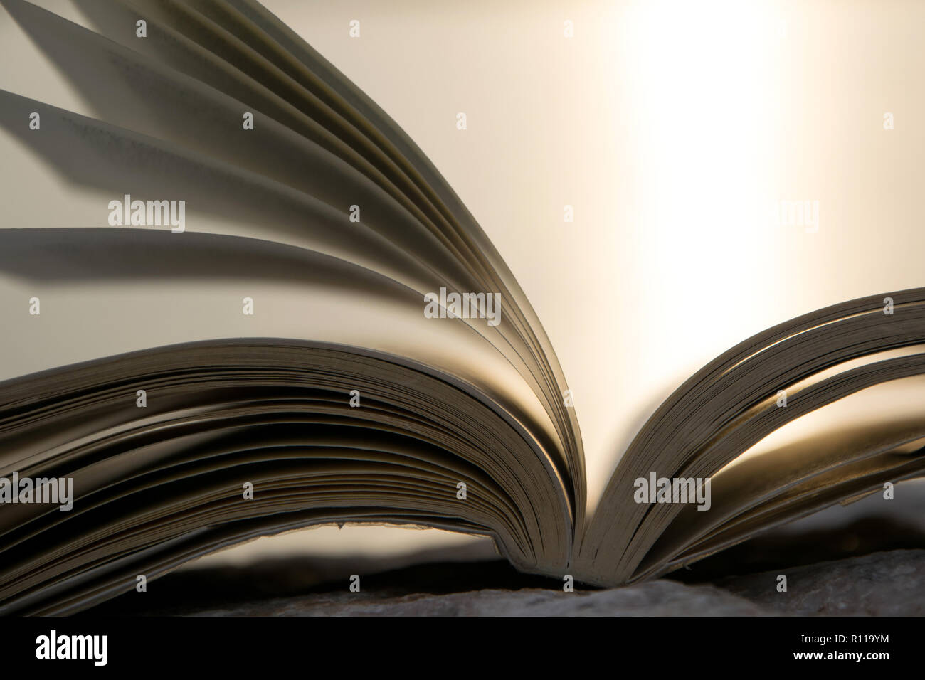 Open book with bright light on background, space for text Stock Photo ...