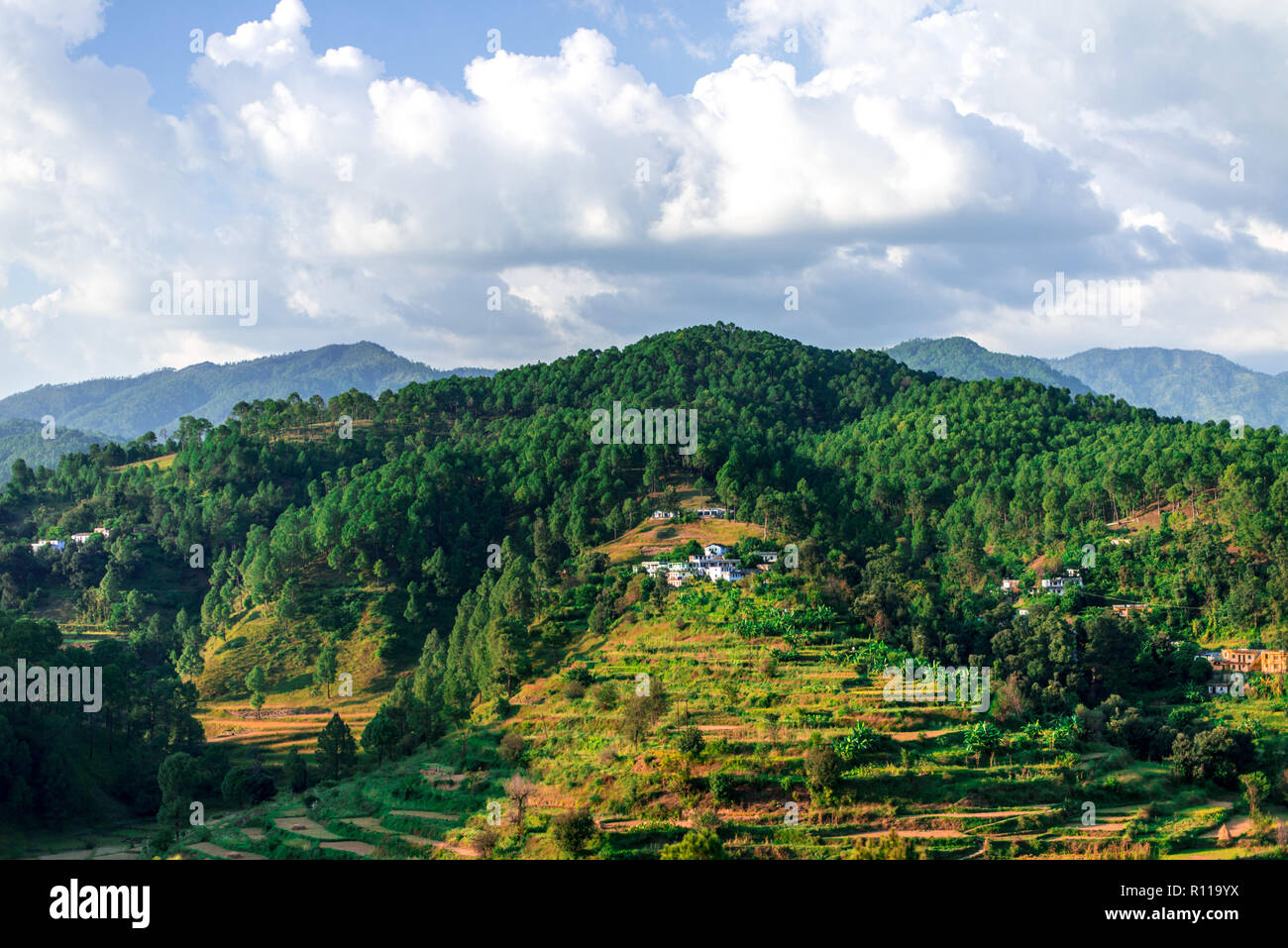 Stepping Fields in Bageswar - Himalaya Stock Photo - Alamy