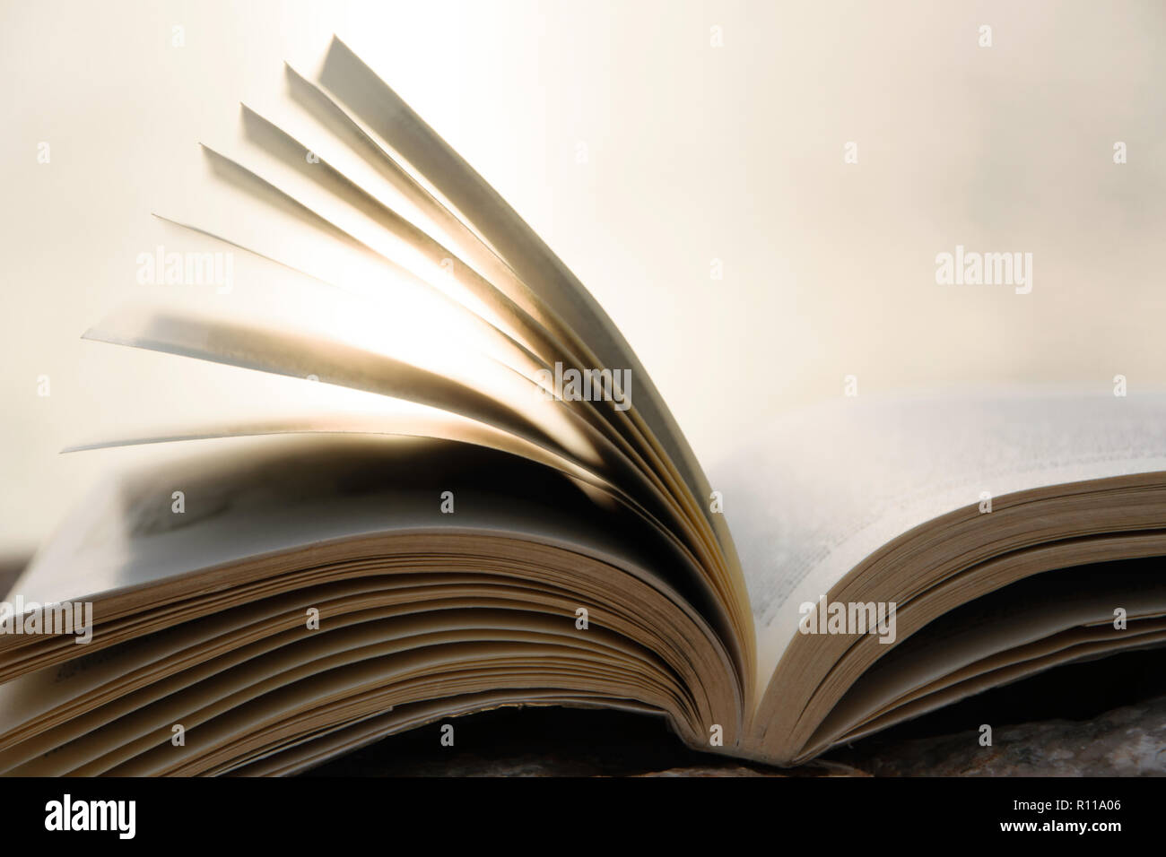 Open book with bright light on background, space for text Stock Photo ...