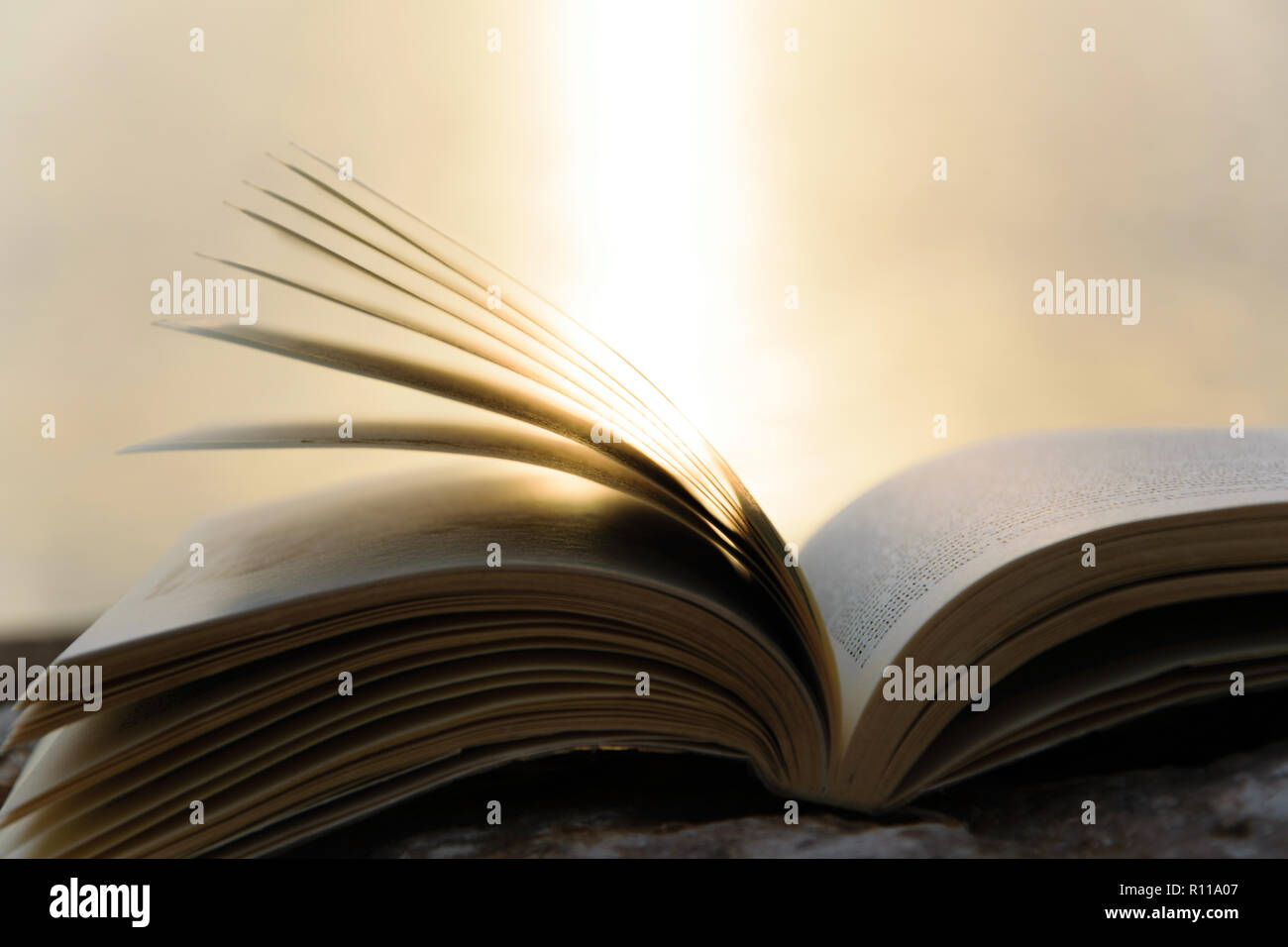 Open book with bright light on background, space for text Stock Photo ...