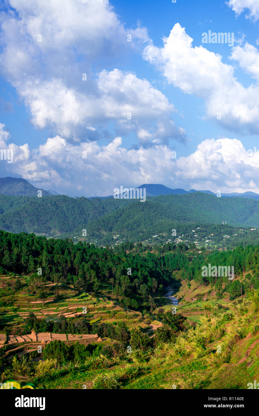 Stepping Fields in Uttrakhand - Himalaya Stock Photo - Alamy