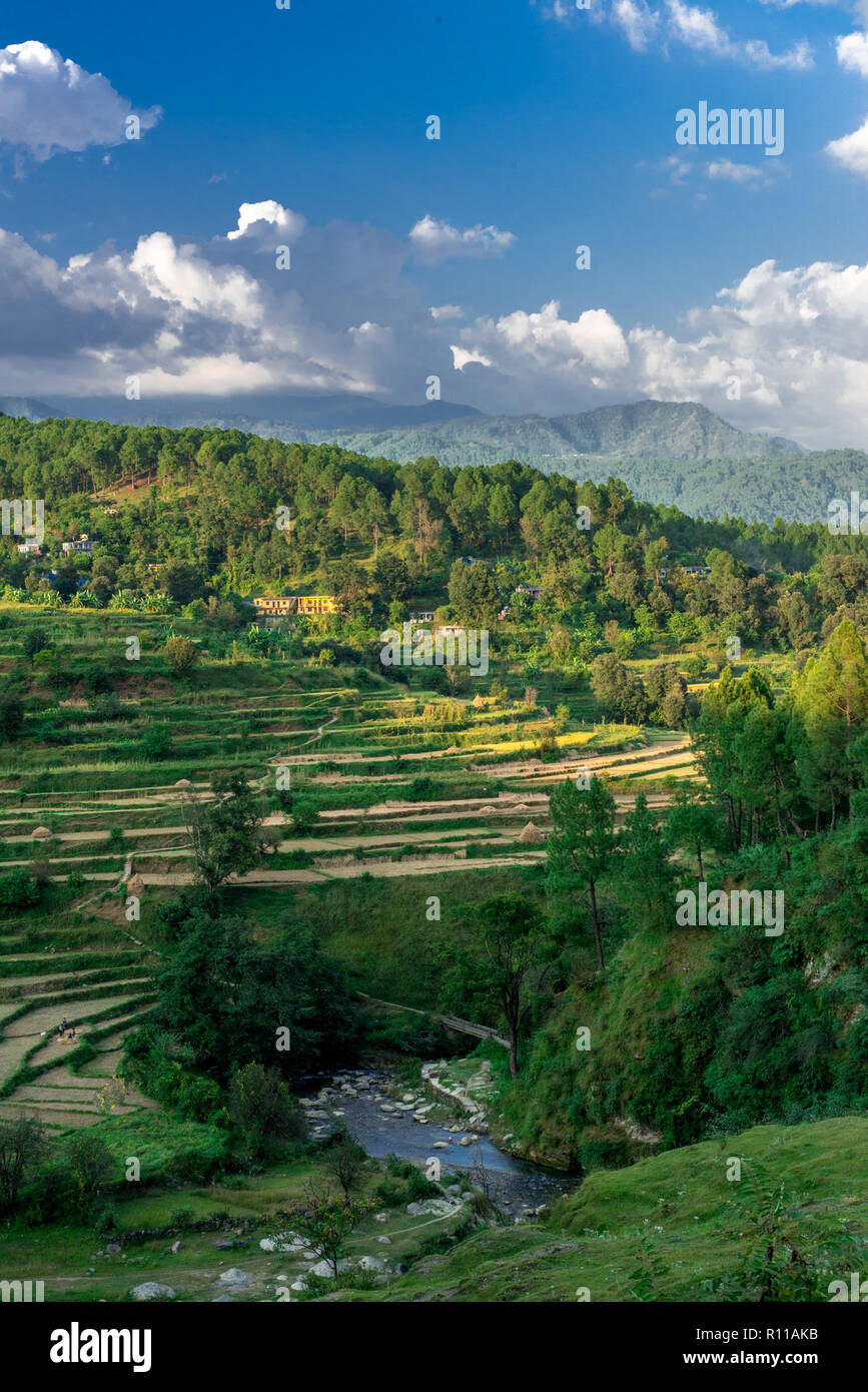 Stepping Fields in Bageswar - Himalaya Stock Photo - Alamy
