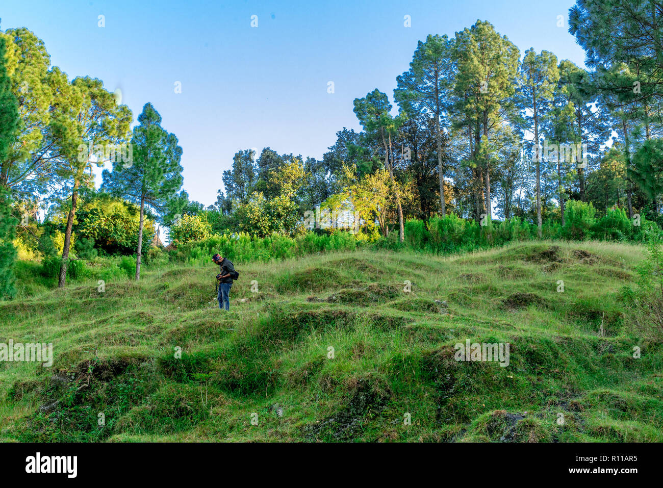 Stepping Fields in Bageswar - Himalaya Stock Photo - Alamy