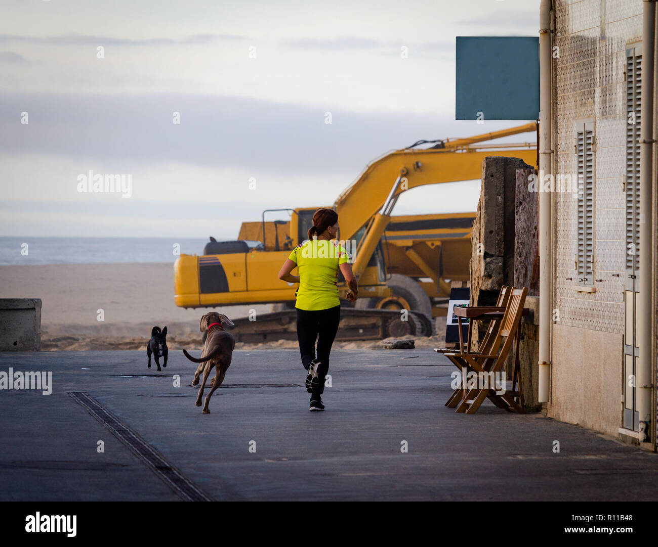 A woman runs with her dog. Excavator in the background. Back view Stock ...