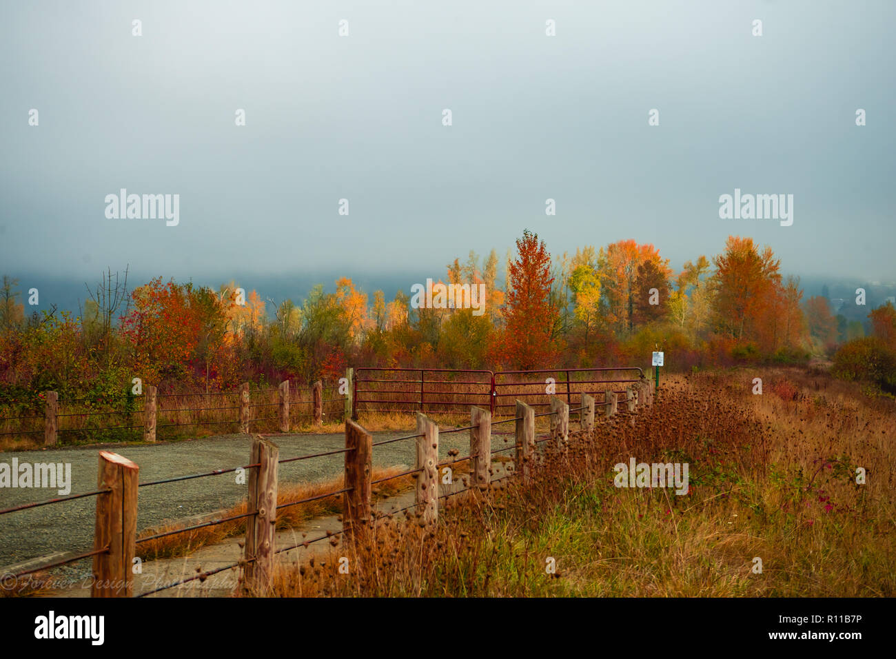 A Fall Hike Stock Photo - Alamy