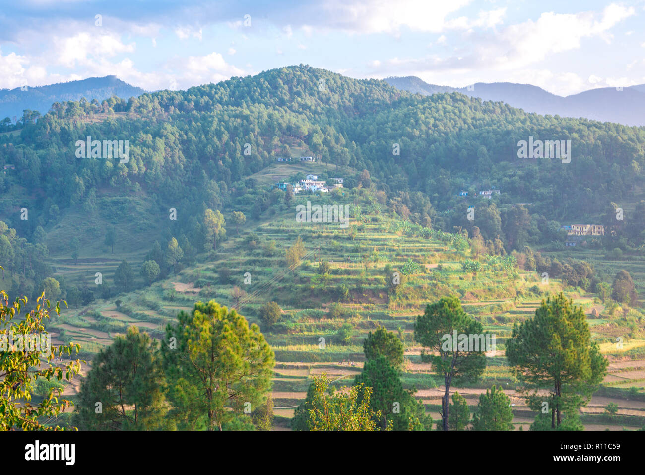 Stepping Fields in Bageswar - Himalaya Stock Photo - Alamy