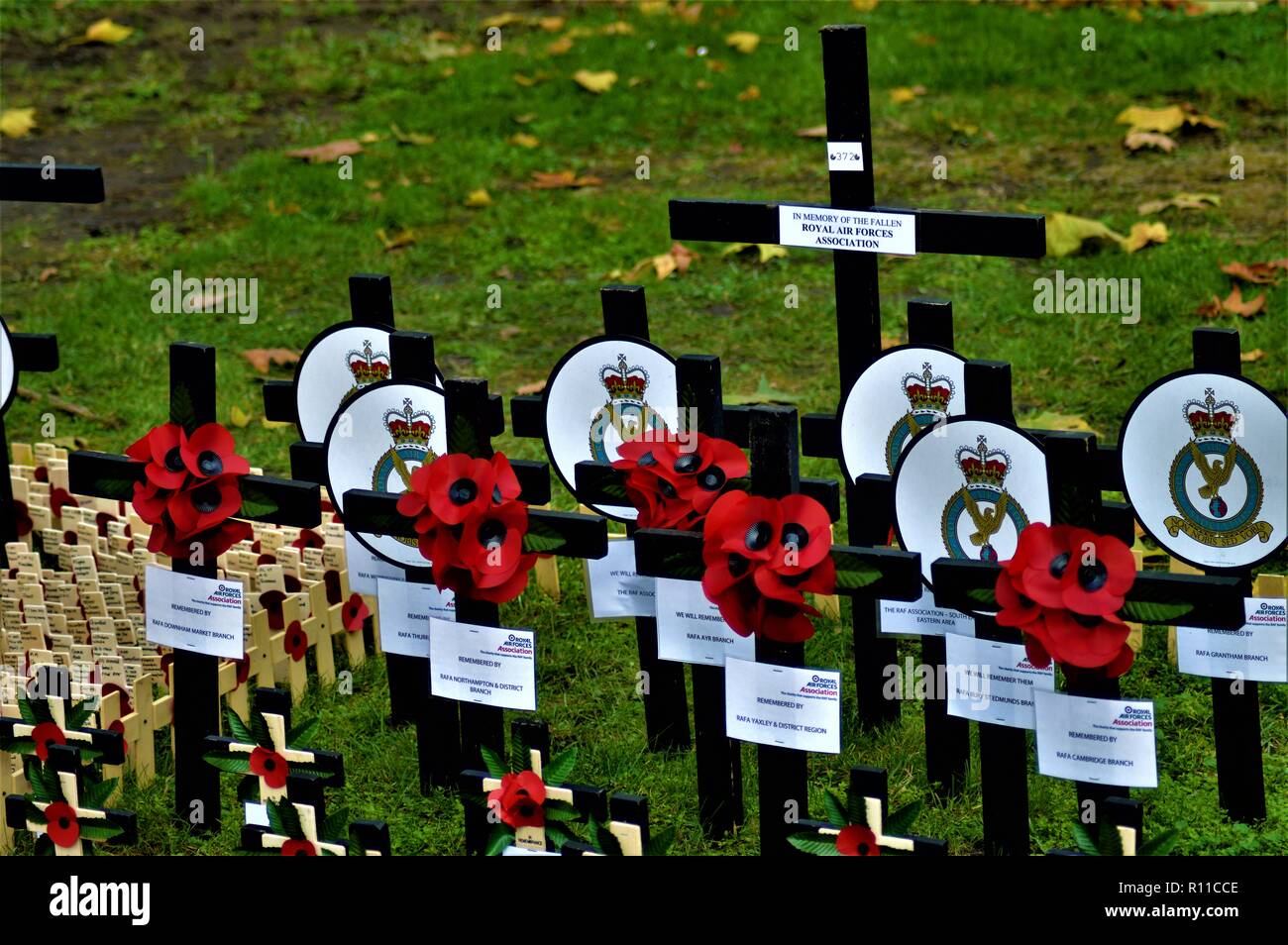 Veterans at the field of remembrance at westminster abbey hi-res stock ...