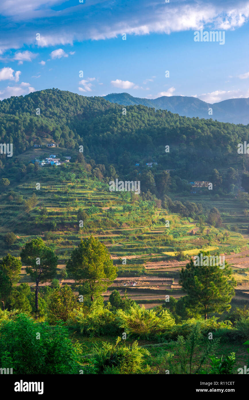Indus Valley View Agriculture Fields High Resolution Stock Photography ...