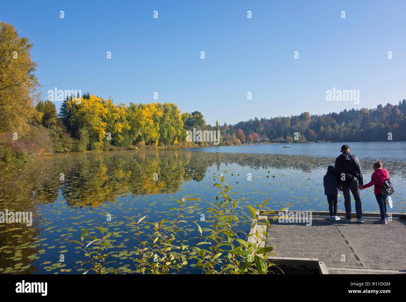 Real Estate Deer Lake Park Burnaby at Kaitlyn Corkill blog