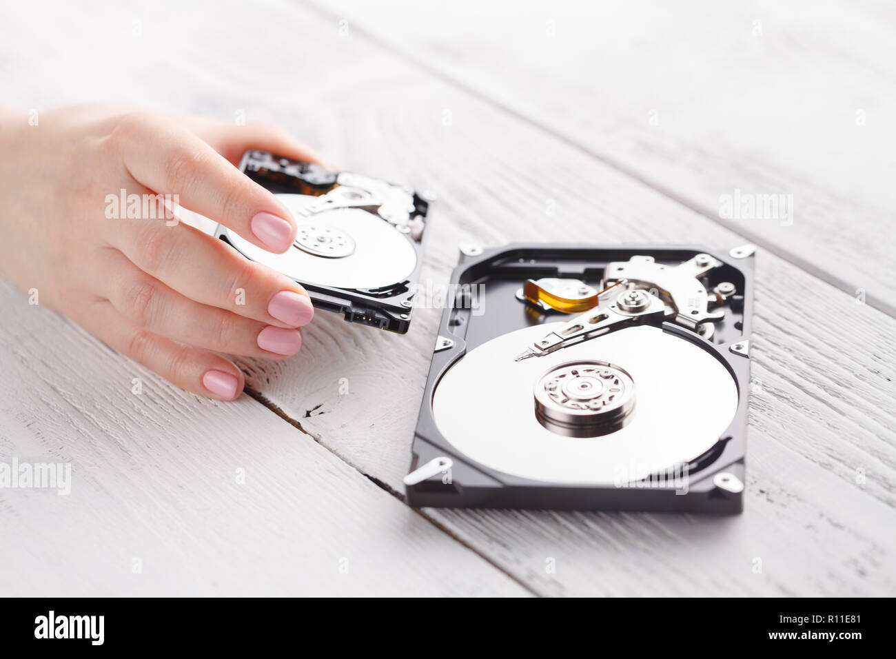 Female with a hard disk HDD in the hands Stock Photo - Alamy