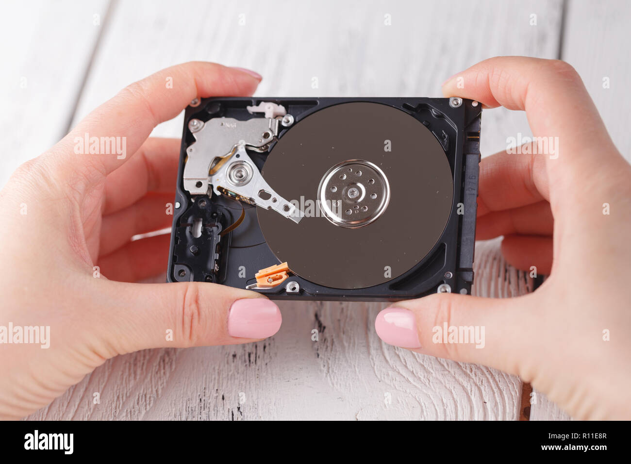 Female with a hard disk HDD in the hands Stock Photo - Alamy