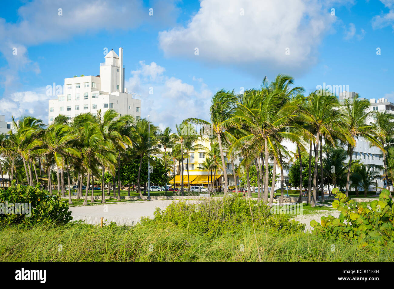 Bright scenic view of the South Beach skyline with palm trees from the ...