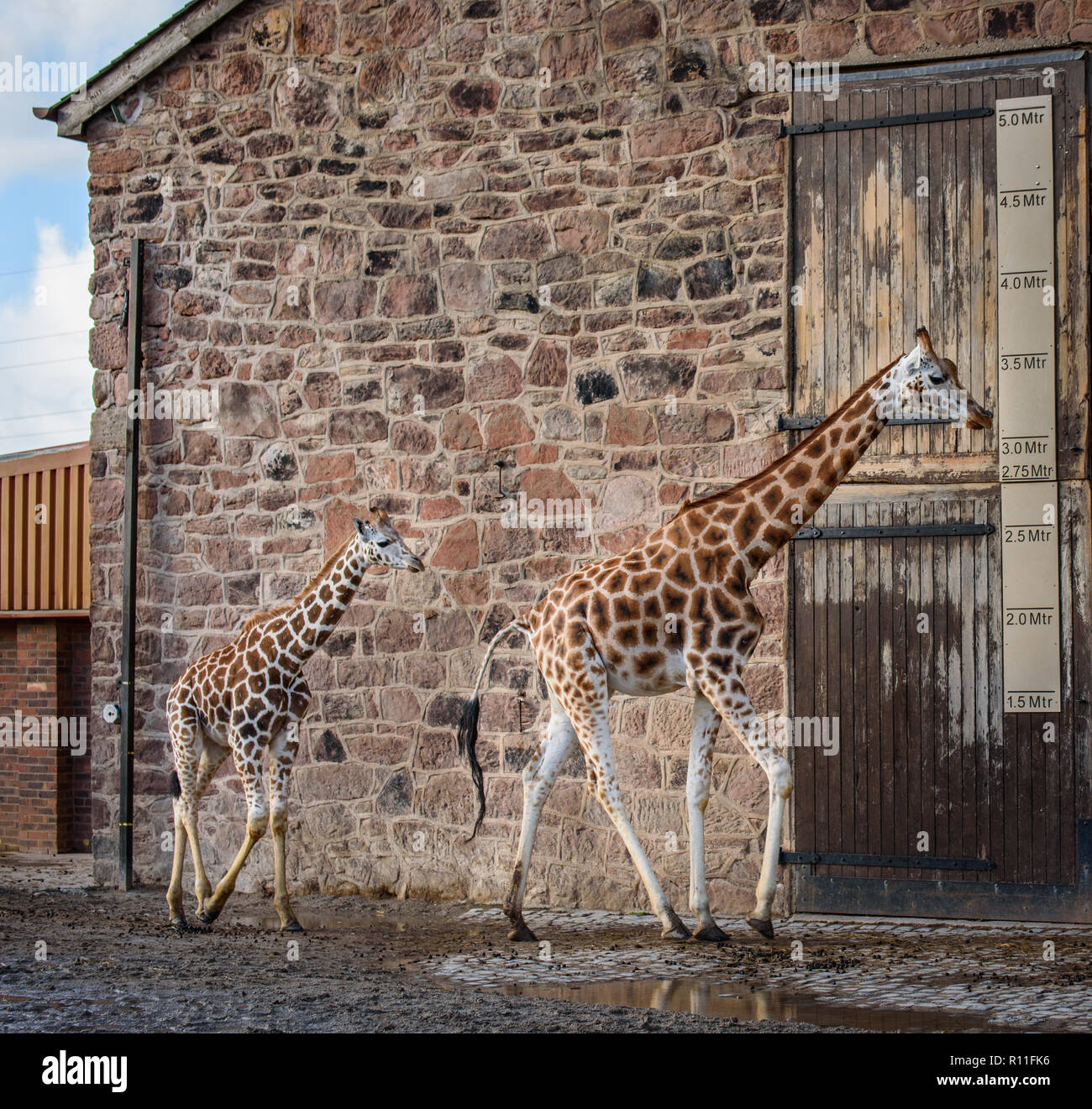 Beautiful autumnal scenery in Derbyshire, England - amazing landscapes ...