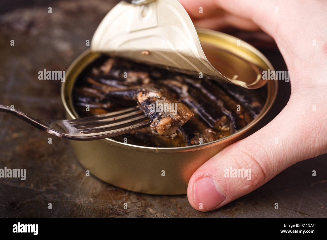 fish can with small fishes in oil Stock Photo - Alamy