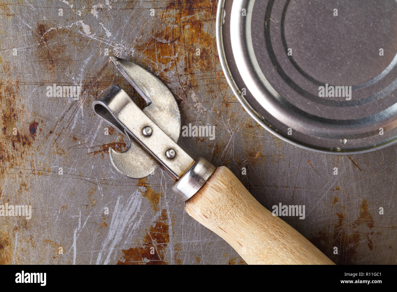 fish can with small fishes in oil Stock Photo - Alamy