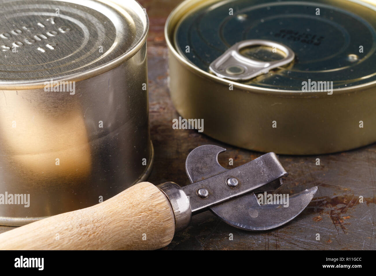 fish can with small fishes in oil Stock Photo - Alamy