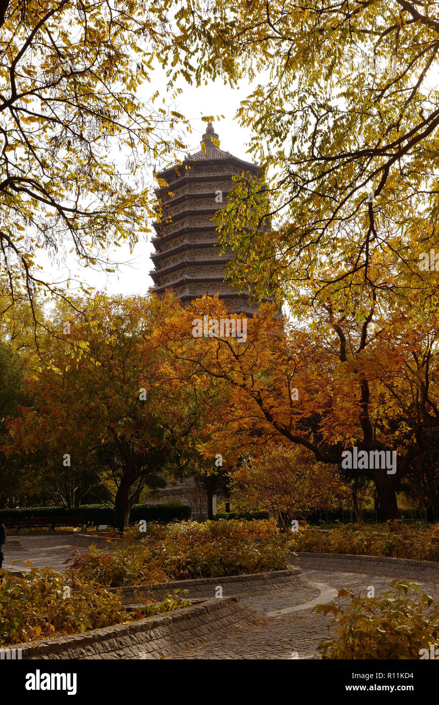 Sipa asia pacific hi-res stock photography and images - Alamy