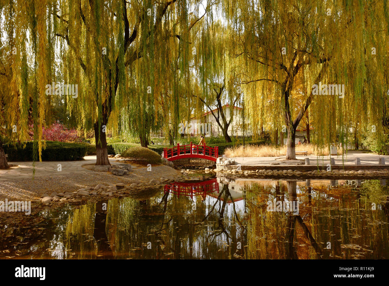 Sipa asia pacific hi-res stock photography and images - Alamy